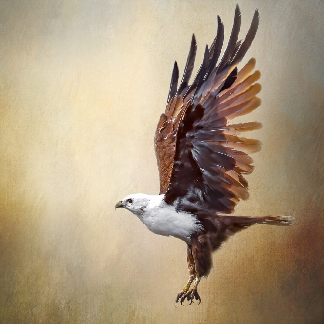 Create a Length Converter using HTML CSS and JavaScript | Never Open Always Closed