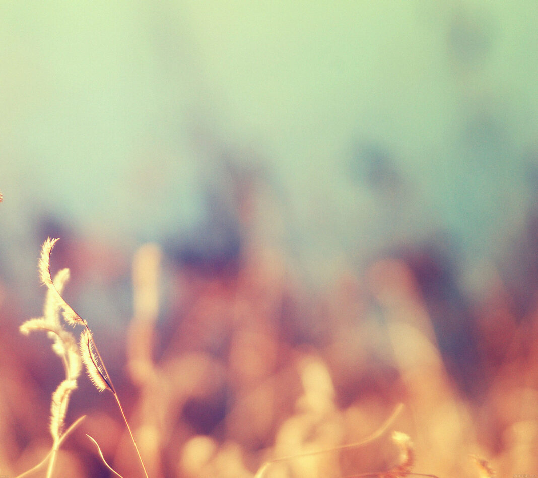 Difference Between Arrays.toString() and Arrays.deepToString() in Java ...